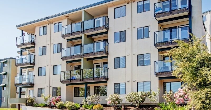 Timberlane - Juniper Square